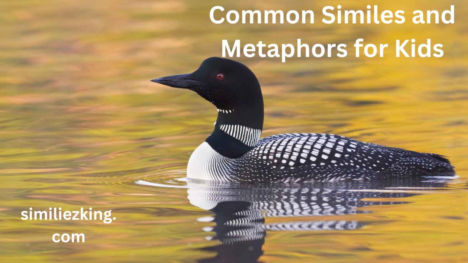 25+ Common Similes and Metaphors for Kids