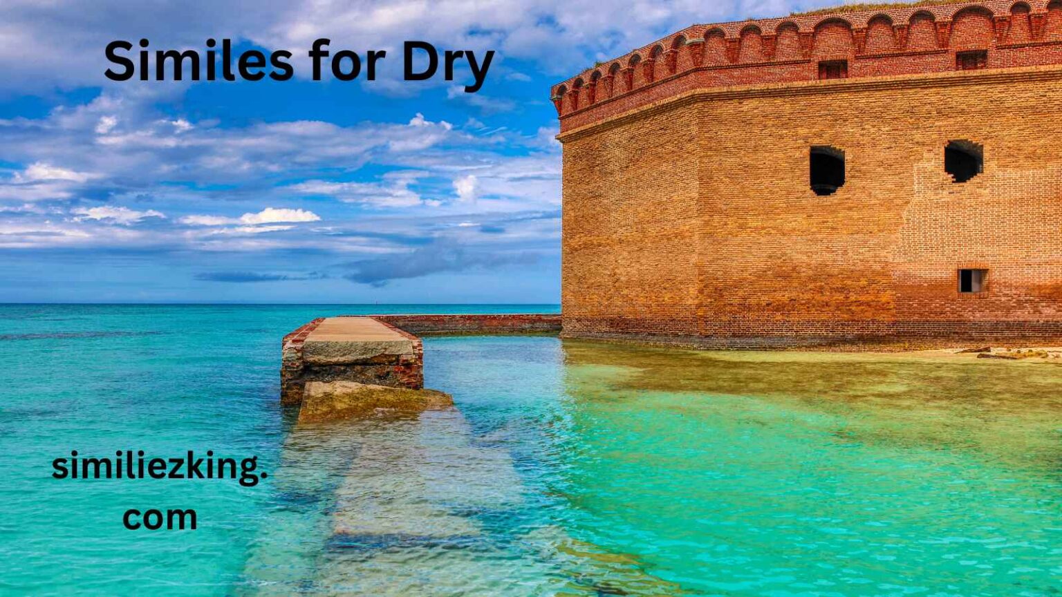 10+ Similes for Dry