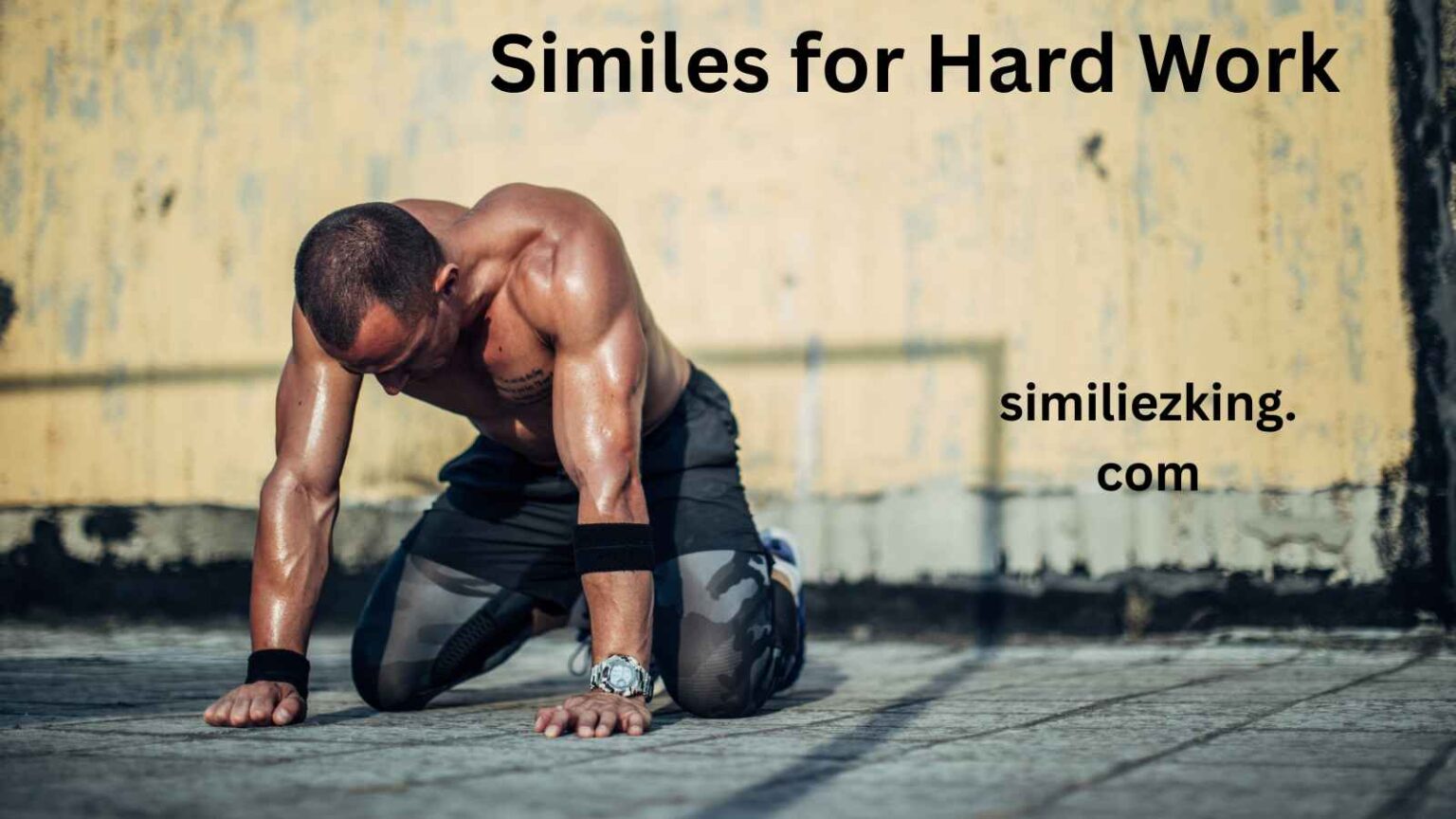 15+ Similes for Hard Work