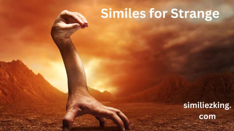 15+ Similes for Strange: Unique Ways to Express the Unusual