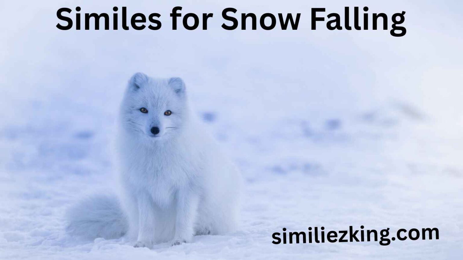 20 Similes for Snow Falling: Poetic Expressions and Casual Alternatives