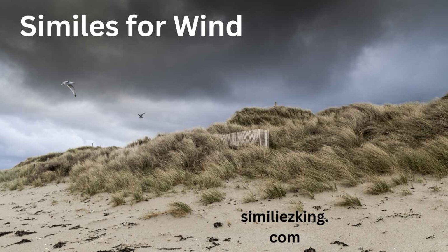 15+ Similes for Wind